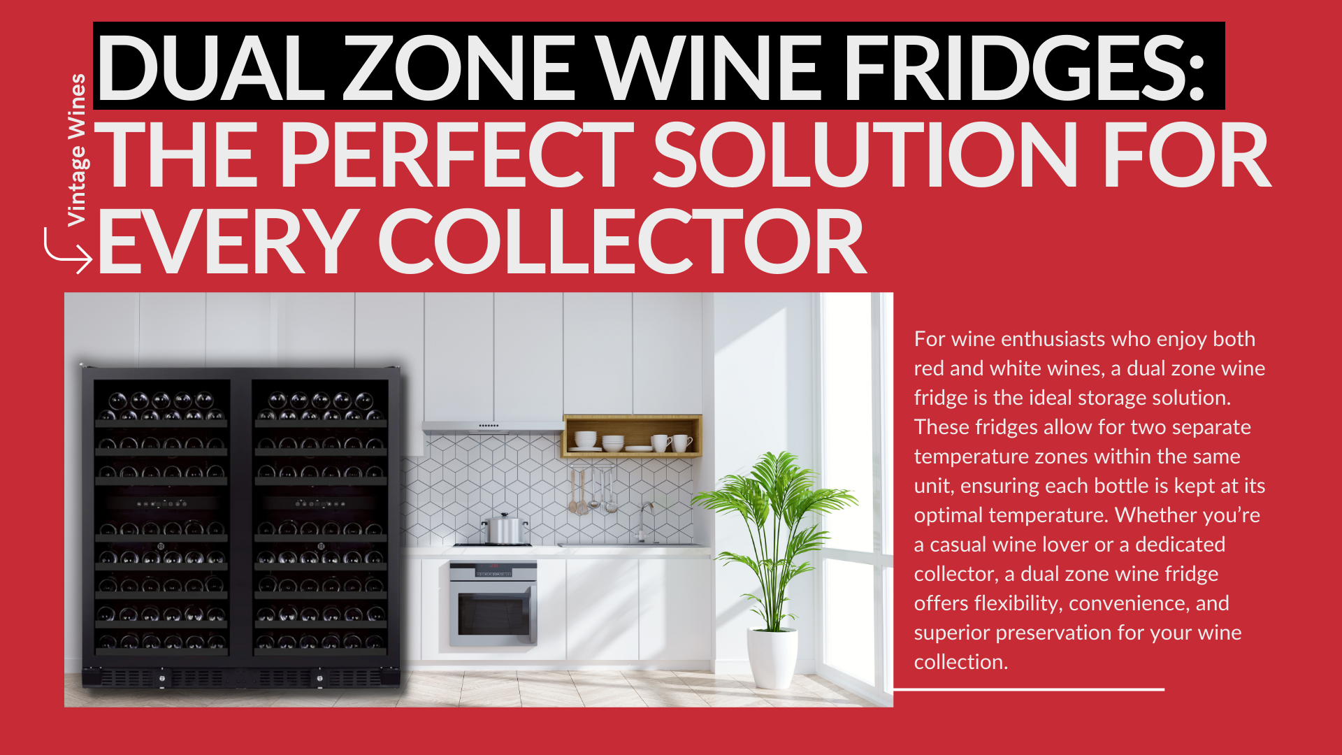 Dual Zone Wine Fridges: The Perfect Storage Solution for Every Collect ...